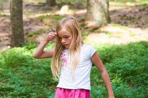 자식 금발 귀여운 소녀 숲에서 블루베리 필드에 신선한 딸기를 따기 건강한 생활방식에 대한 스톡 사진 및 기타 이미지 건강한 생활방식 건강한 식생활 과일 Istock