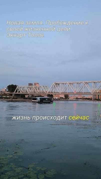 цитата Экхарт Толле Новая земля жизнь саморазвитие психология Youtube