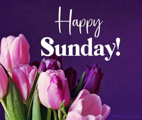 70 Happy Sunday Wishes Messages And Quotes Wishesmsg