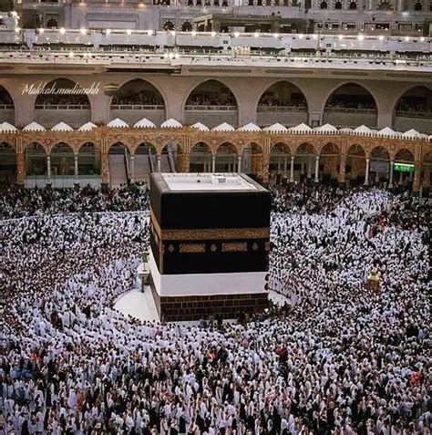 ربي يرحمك يبوي صلوا على الحبيب المصطفى صلى الله عليه وسلم المولد النبوي