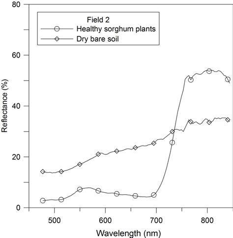 Reflectance Spectra For Healthy Grain Sorghum Plants And Dry Bare Soil