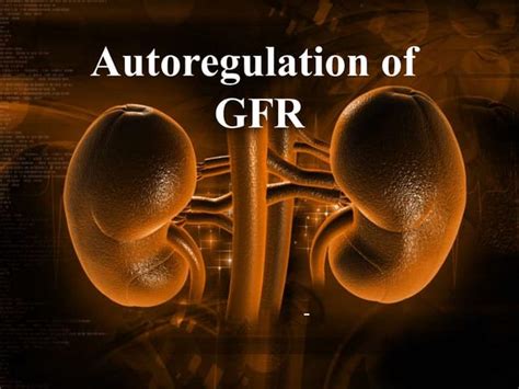 Gfr Ppt Ppt Heart And Cardiovascular Diseases Diseases And Conditions