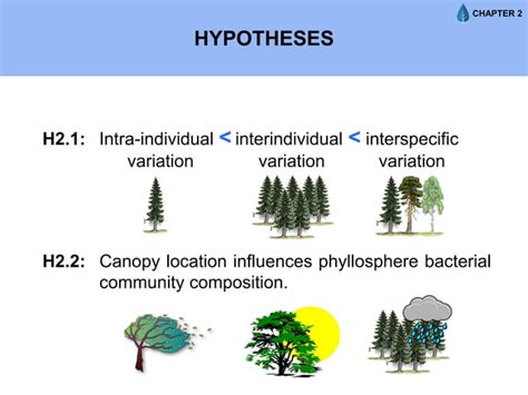 Exploring The Temperate Leaf Microbiome From Natural Forests To