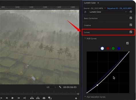 How To Colorize Black And White Video 5 Methods