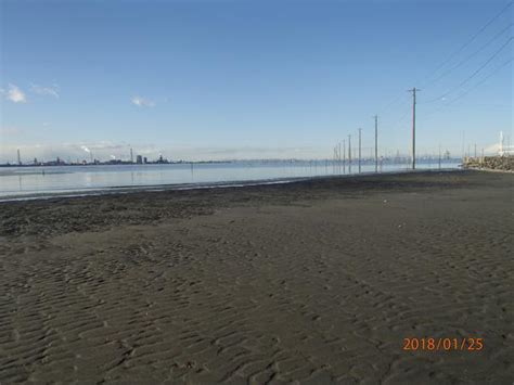 久津間海岸潮干狩り場 旅サラダPLUS 観光お出かけSPOT