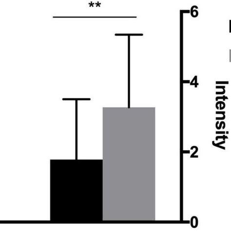 Comparison Of Alprostadil Vs Isosorbide Dinitrate In The Efficacy Of Download Scientific