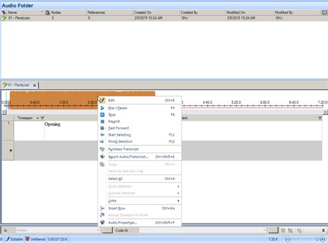 Coding Audio And Video In NVivo
