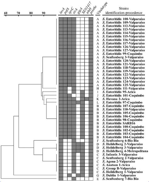 Dendrogram Showing Genetic Similarities Between Salmonella Enterica