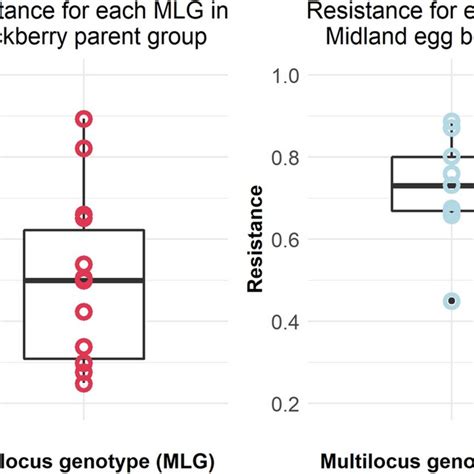 Multilocus Genotype 50 Ie Mlg50 Left Plot Was The Most Prevalent Download Scientific