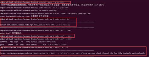 Webase Node Mgr Issue Webankblockchain Webase Github