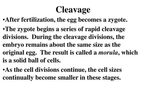 Cleavage Biology Definition At Craig Cox Blog