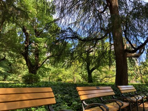 Hibiya Park Tokyo On Twitter Wbgt