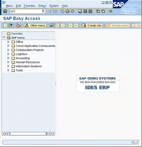 How To Enable Scripting In SAP