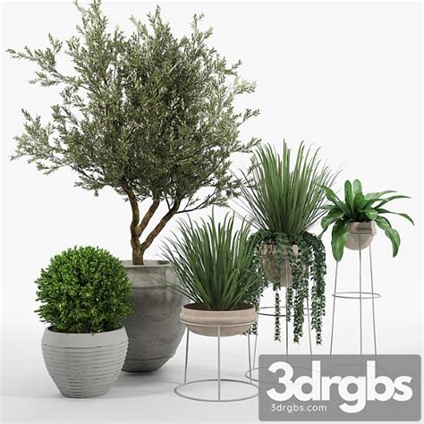 Download Cb2 Set Model 3drgbs