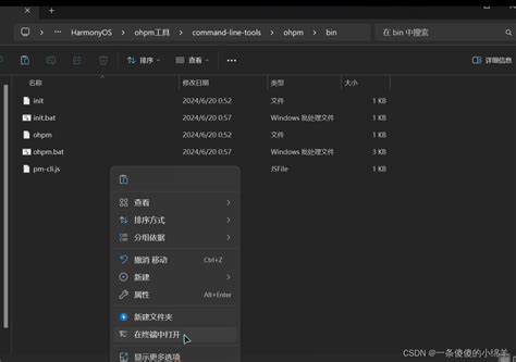 鸿蒙开发——网络连接，axios第三方库ohpm Csdn博客