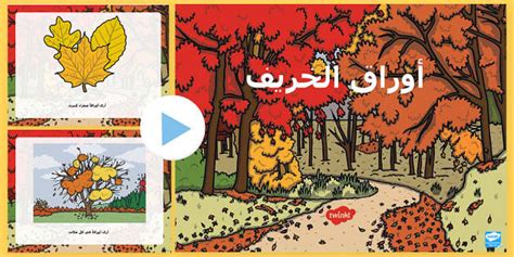 بوربوينت حول أوراق الخريف Twinkl