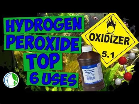 Does Hydrogen Peroxide Kill Beneficial Bacteria In Aquarium Betta