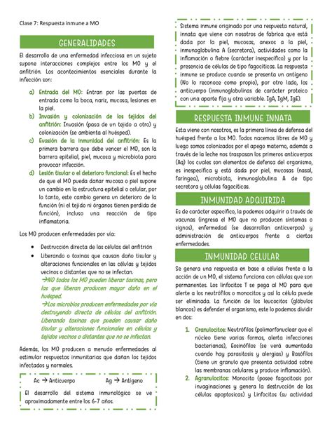 Respuesta Inmune A Mo Apuntes De Infectología Docsity
