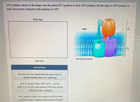 Solved ATP Synthase Shown In The Image Uses The Proton Chegg Com