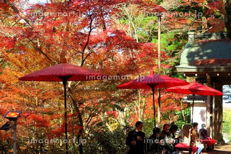 有馬温泉郷にある紅葉の名所、瑞宝寺公園：園内の茶屋の写真素材 209222250 イメージマート