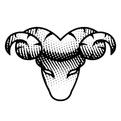 Vista Frontal Del Carnero Grabado En Scratchboard Vector Premium