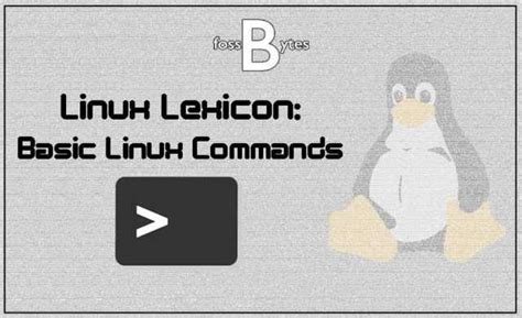 Linux Lexicon Basic Linux Commands