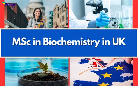 Msc Biochemistry In Uk Top Colleges Fees Scholarships Scope Leverage Edu
