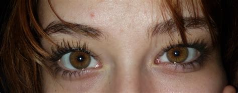 Light Brown Or Amber Reyes