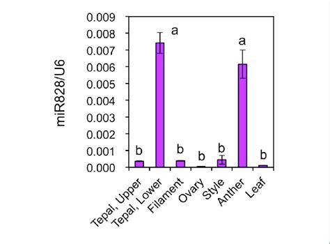 Accumulation Of MiR828 Stem Loop QRT PCR In Tepals Upper And Download Scientific Diagram