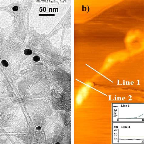 A Tem Image And B Afm Image Of Swnt Ctab Gnp Nanocomposite Height