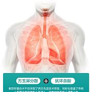 G BELL真无水箱管线机家用壁挂式超薄小型迷你 厨房 客厅 自动抽水即热式饮水机无内胆速热直饮机 白色 KW 72壁挂管线机图片 价格