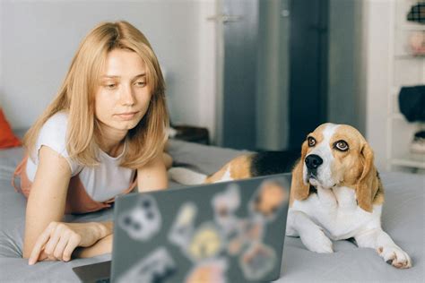 How To Avoid Spam Filters Email Deliverability Tips Female Blogpreneur