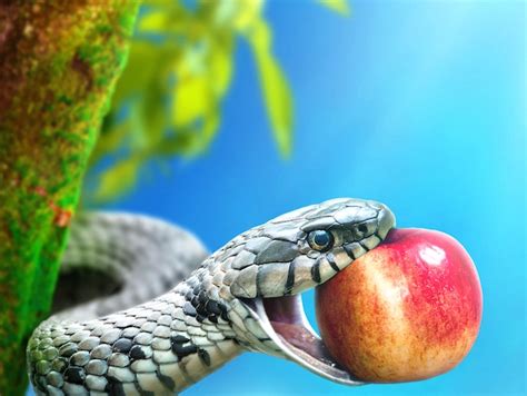 Abr A BÍblia Responde Por Que A Serpente Do Éden Falou