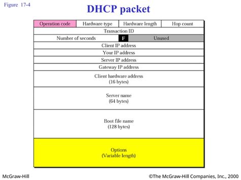 Bootp Dhcp Protocol For Networking Ppt