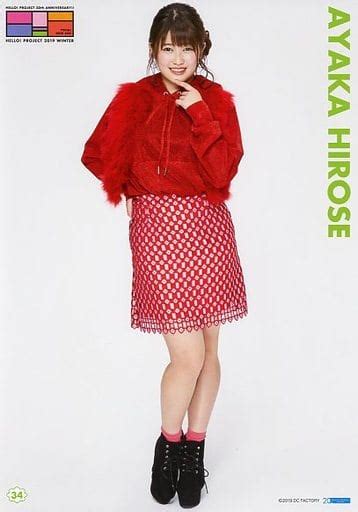Collection Pin Up Poster No 34 Hello Project 20th Anniversary Hello