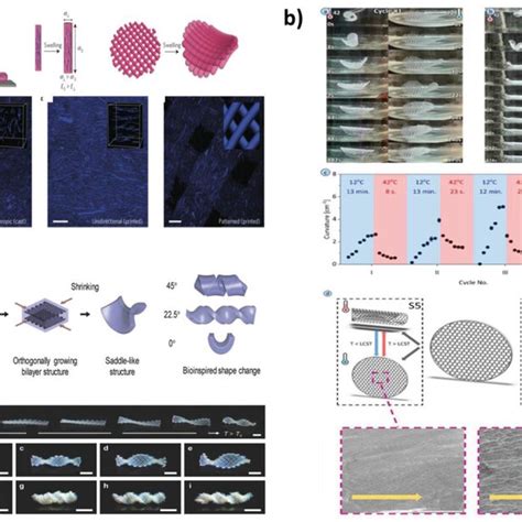Examples Of 3d Printed Electroactive Hydrogel Actuators A Hydrogels Download Scientific