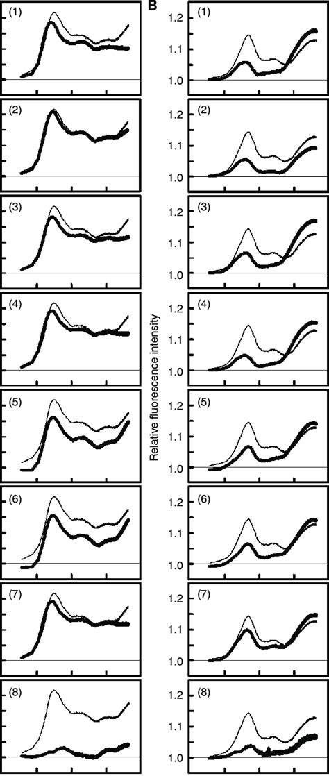 Chlorophyll Fluorescence Kinetics Of The Wild Type Thin Line And The