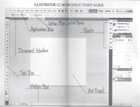 Illustrator Workspace Study Guide Diagram Quizlet