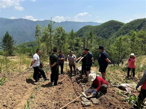 协会党支部组织洪坝乡天麻种植骨干赴宁强县调研学习 四川省医药保化品质量管理协会