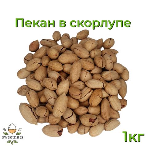 Пекан в скорлупе 1кг - купить с доставкой по выгодным ценам в интернет ...