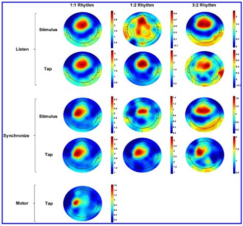 Mean PSD Scalp Topographies At The Stimulus Frequencies Hz In The Download Scientific
