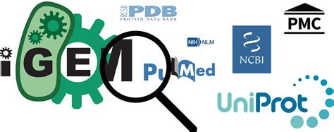 Team USTC Software Improve 2018 Igem Org