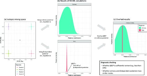 Proposed Workflow For Diagnostic Checking Of The Underdetermined