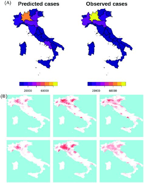A Comparison Between Predicted And Observed Spatial Spread Of Download Scientific Diagram