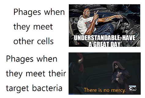 113 Best Phage Images On Pholder Warframe Microbiology And Magic Tcg