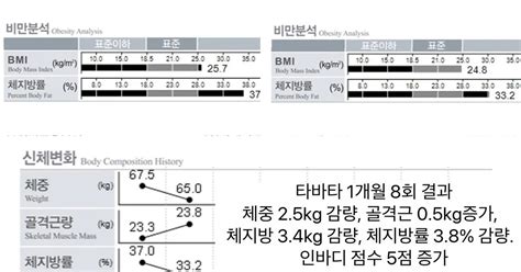 다이어트 결과 정아인 숨고 숨은고수