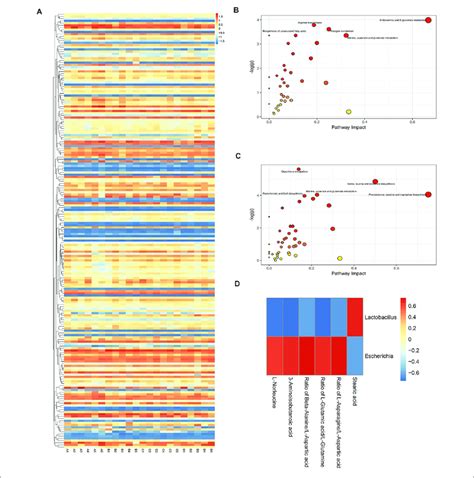Metabolite Profile Visualization Metabolic Pathway Enrichment Download Scientific Diagram