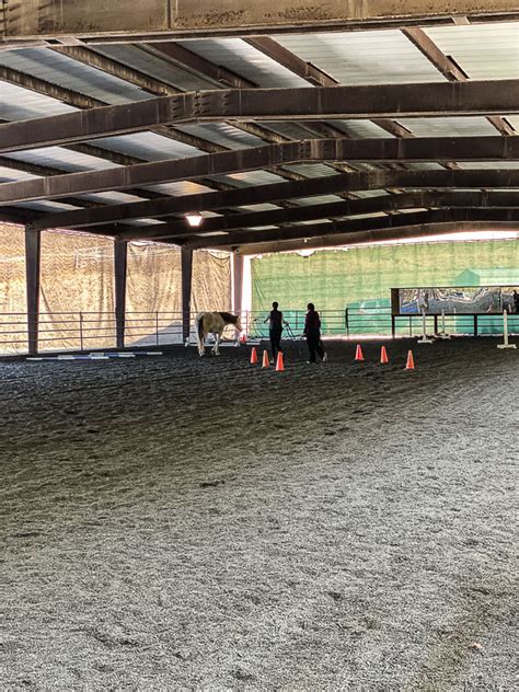 Restoring Connection Workshop With Koelle Simpson Shutterbean