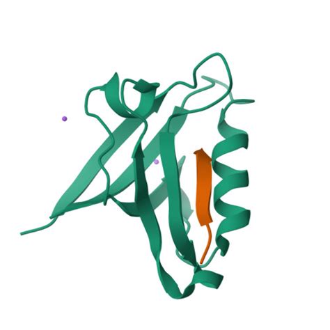 RCSB PDB 8CQY Crystal Structure Of The PTPN3 PDZ Domain Bound To The