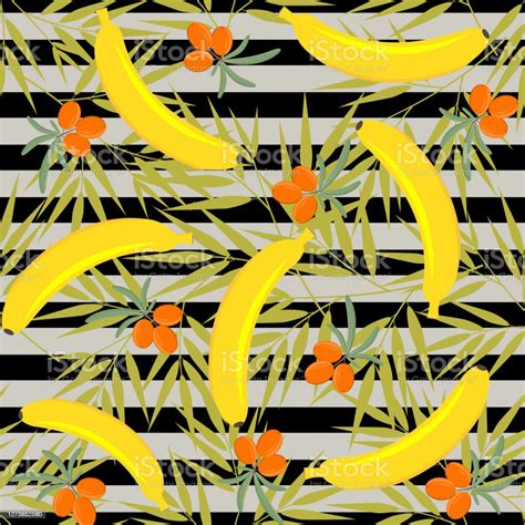 바나나와 바다 갈매 나무 속 과일 패턴 색상 벡터 일러스트 직물 질감 디자인 0명에 대한 스톡 벡터 아트 및 기타 이미지 0명 검은색 과일 Istock